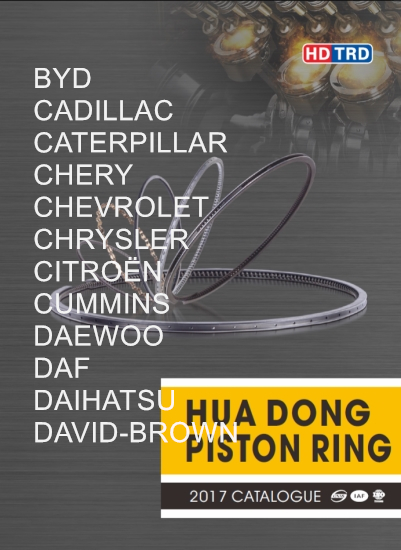 Download | China Piston Rings Manufacturers, Suppliers, Factory and ...